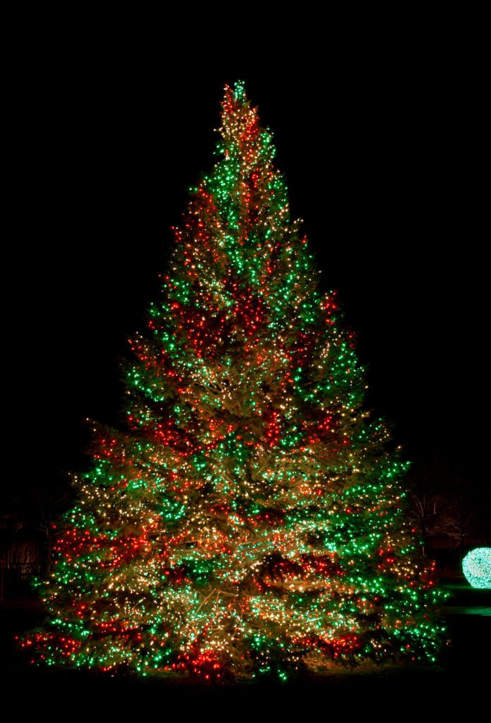 11 Awesome And Dazzling Christmas Tree Lights Ideas - Awesome 11